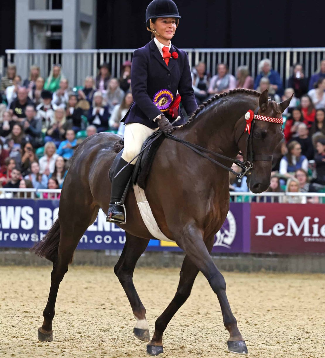 Shildons Royal Affair nets HOYS intermediate show riding type title