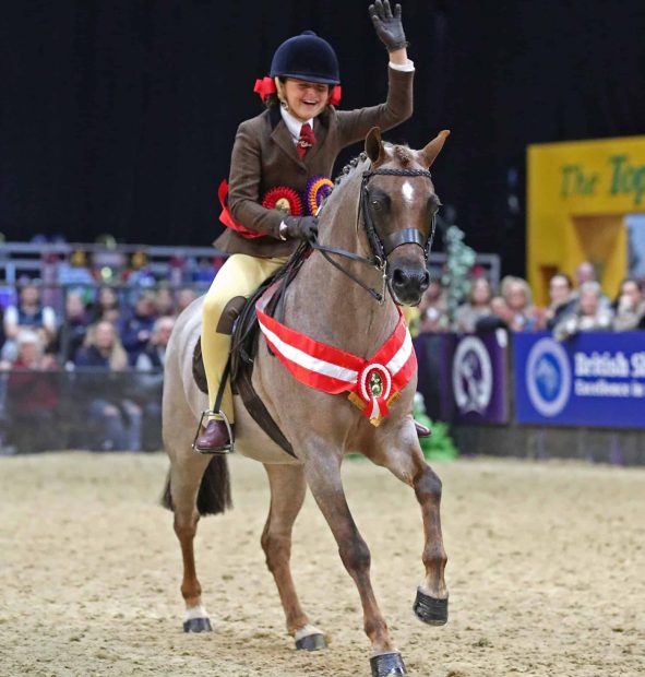 Show ring winners from HOYS 2022 - Horse & Hound