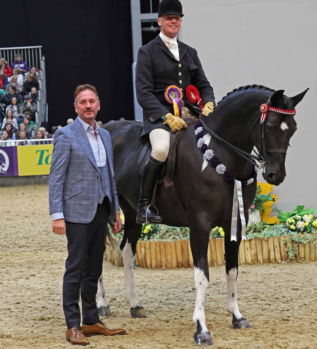 Wot Perfection wins HOYS coloured ridden non-native pony final