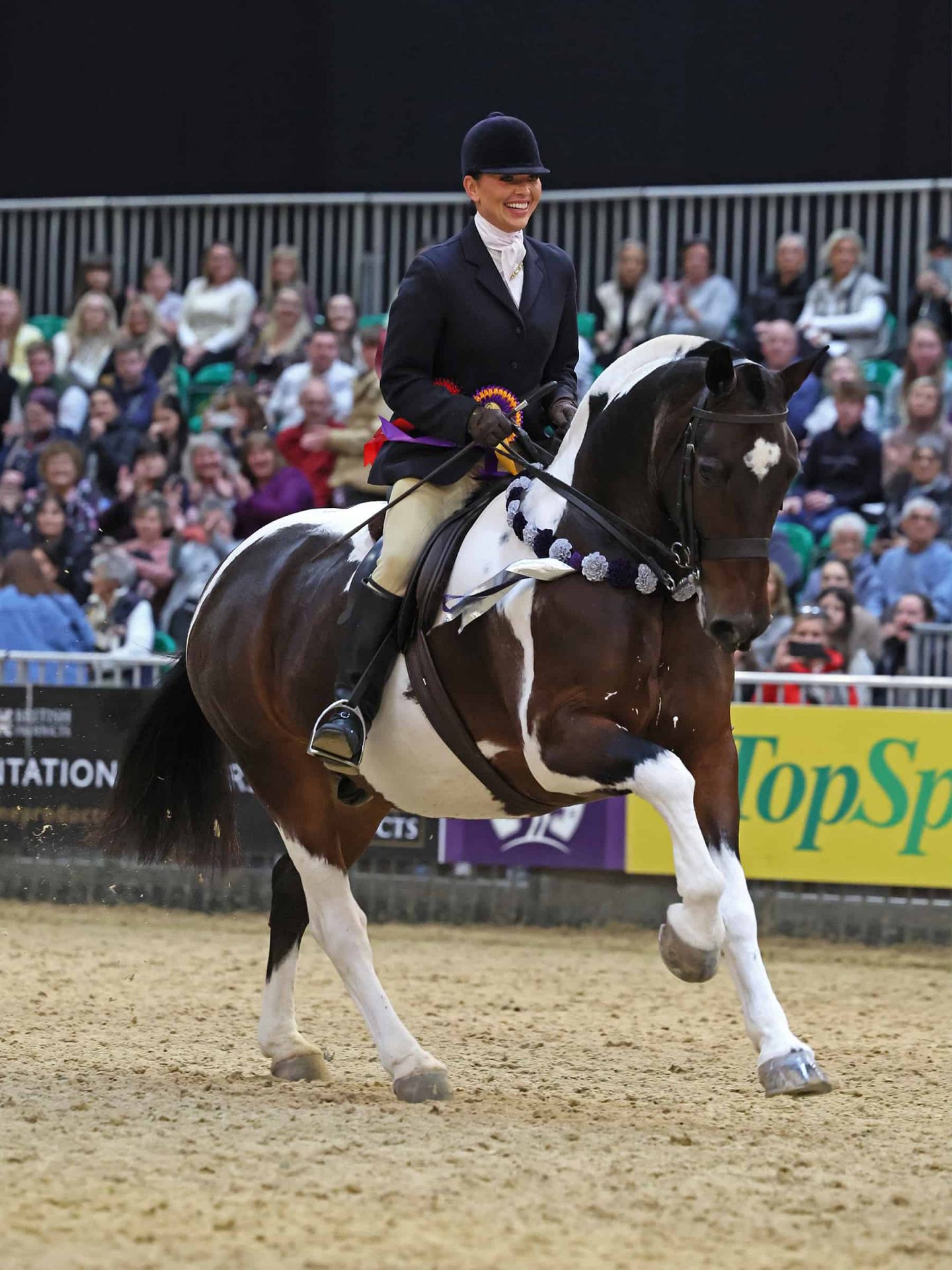 Red Rock III takes HOYS coloured ridden native/cob/traditional horse title