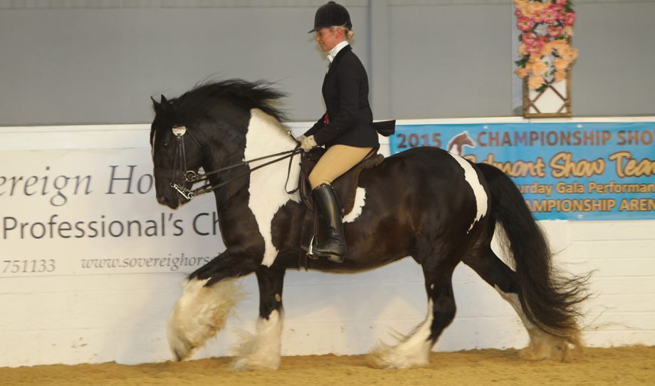 How to ride leg yield for training and dressage shows - Horse & Hound
