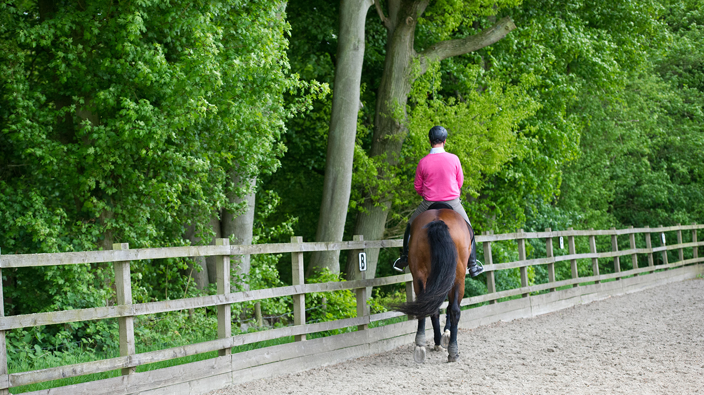 How to pursuade non horsey parents to let you ride