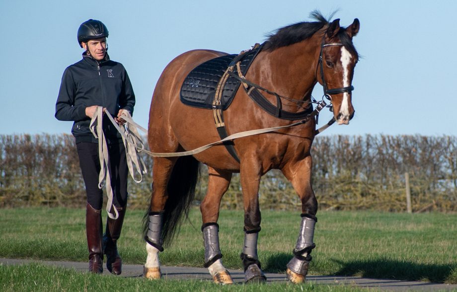 A helpful guide to lateral work suitable for all horses - Horse & Hound
