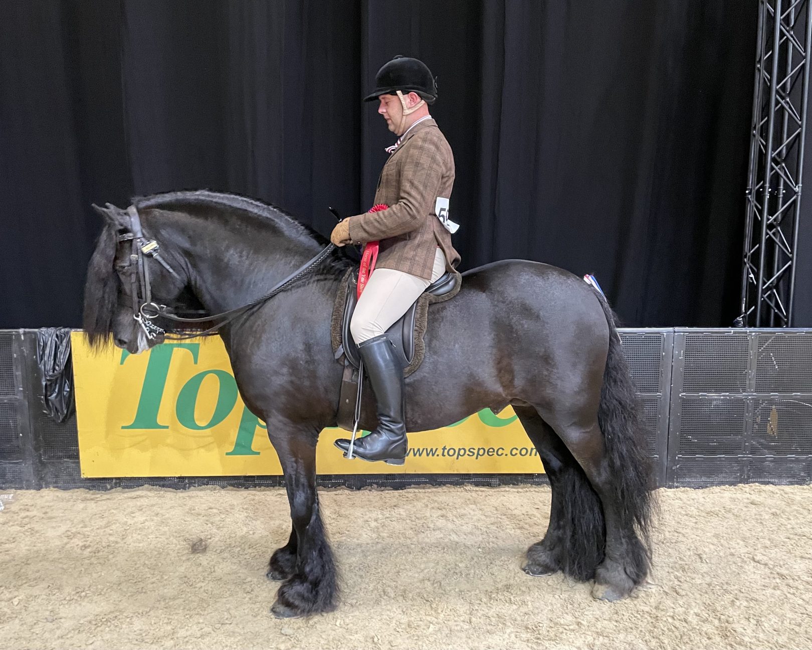 HOYS Dales results: Joseph Watson wins on Griseburn Major