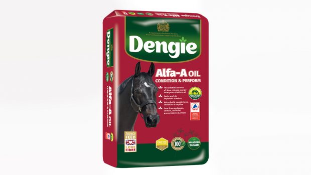 Feeds for horses with ulcers – what are your options? | Horse & Hound