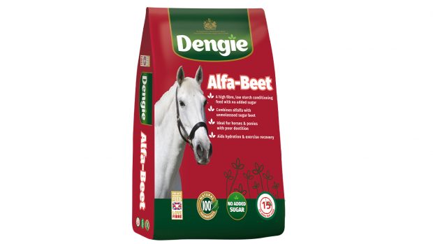 Best feeds for older horses to keep them feeling young | Horse & Hound