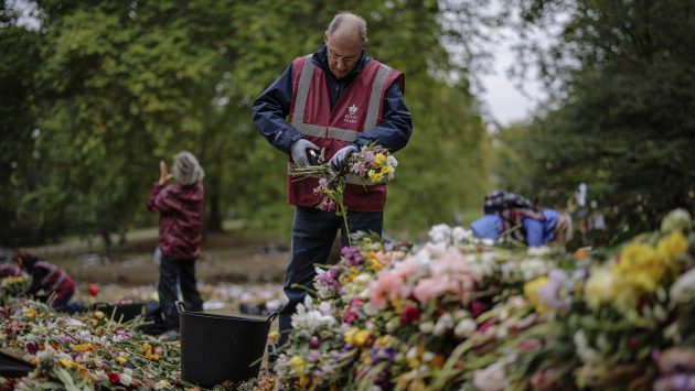 Shire horses collect flowers from London parks left in tribute to The Queen