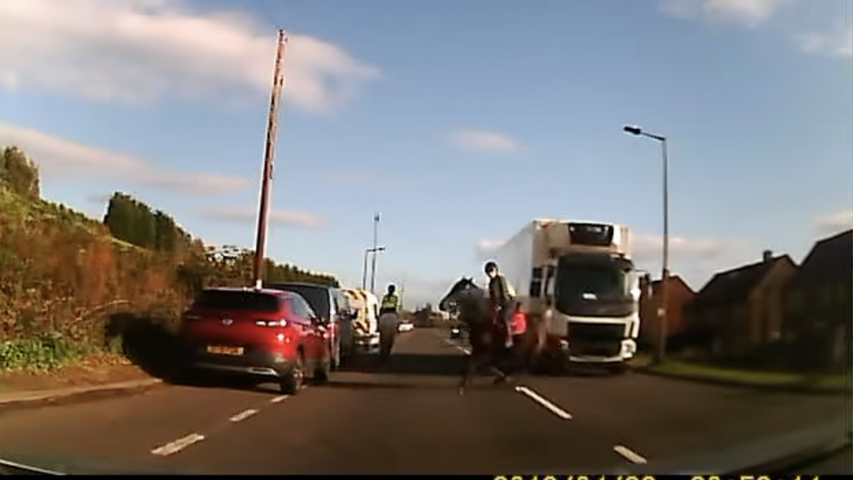 ‘Millimetres from going under the tyres’: terrifying moment lorry hit ...