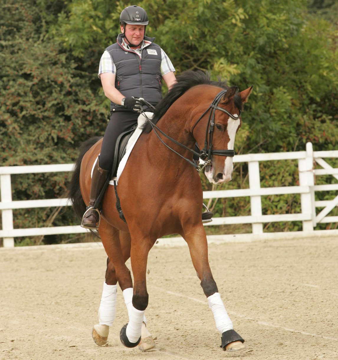 A helpful guide to lateral work suitable for all horses - Horse & Hound