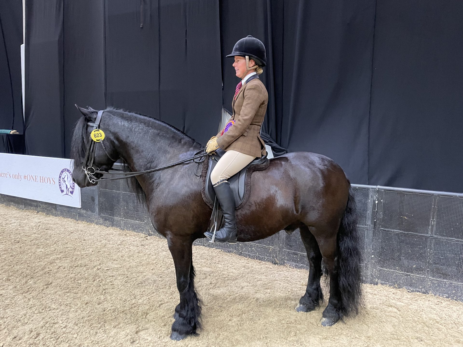 HOYS Fell: Willmont Braveheart lands the Fell championship