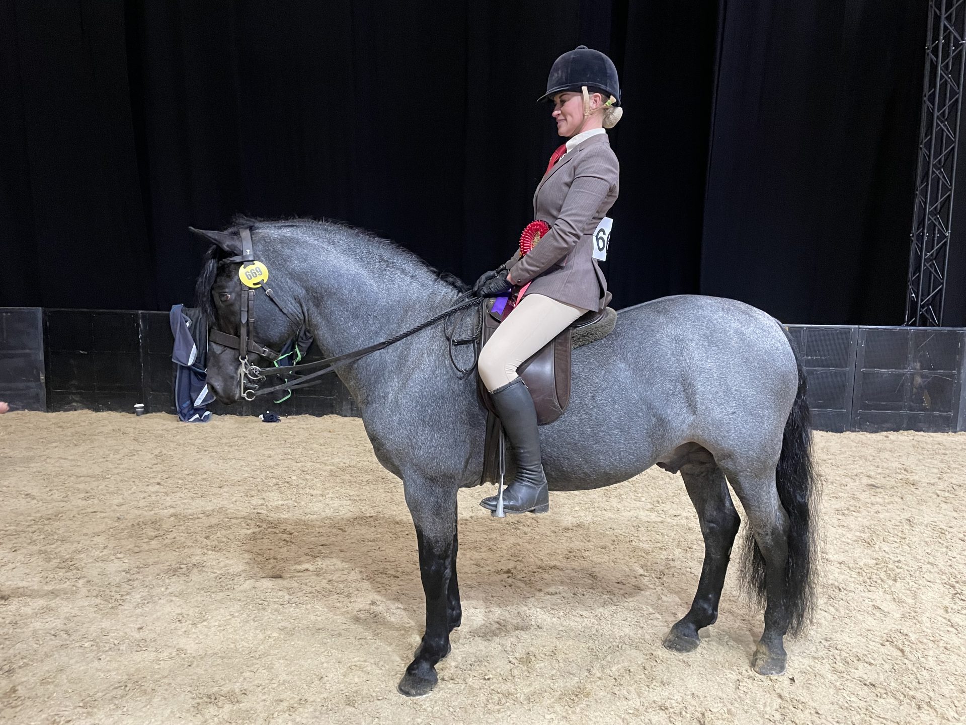 HOYS New Forest: Vikki Smith wins aboard Lovelyhill Folklore