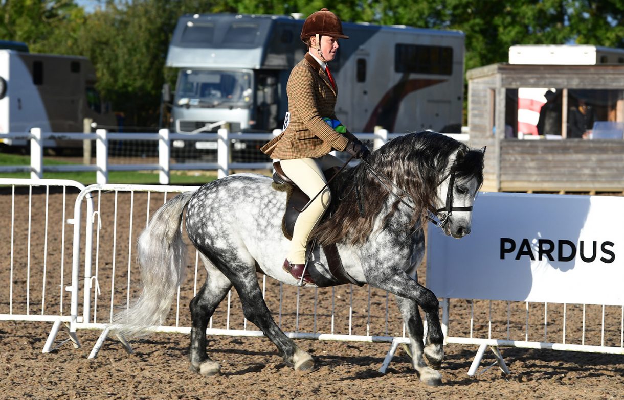 Who won at the 2022 BSPS Heritage championships? - Horse & Hound