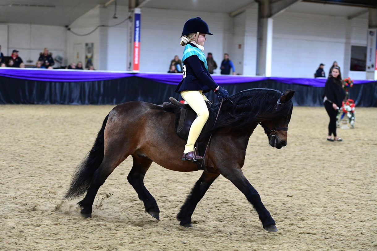 Who won at the 2022 BSPS Heritage championships? - Horse & Hound