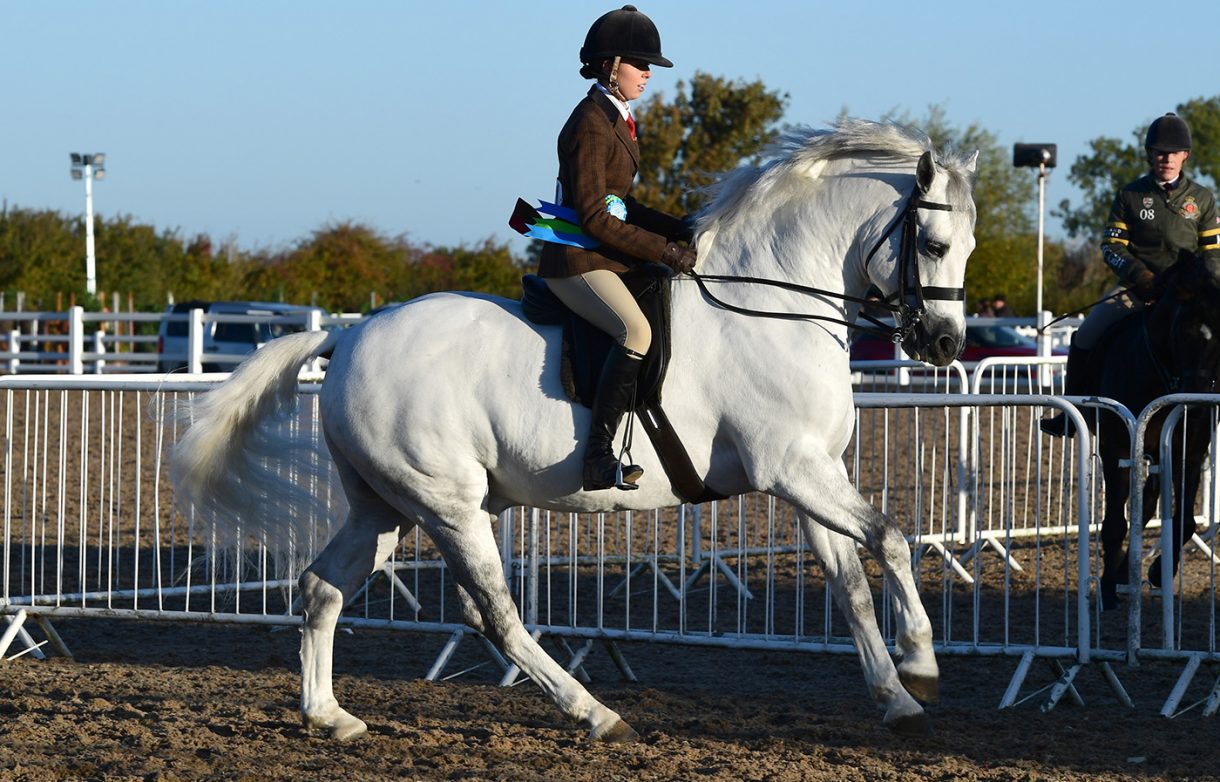 Who won at the 2022 BSPS Heritage championships? - Horse & Hound