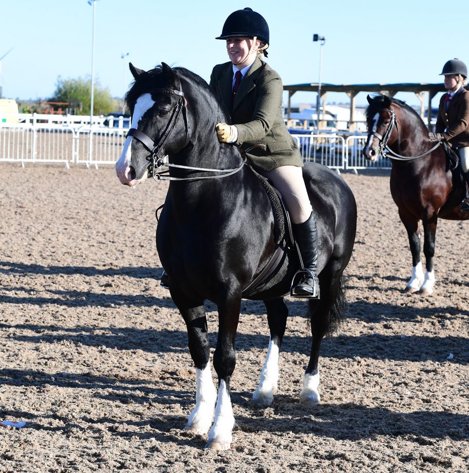 Who won at the 2022 BSPS Heritage championships? - Horse & Hound