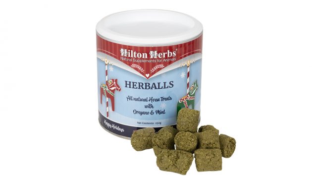 Best horse treats for rewards, nutrition and training | Horse & Hound