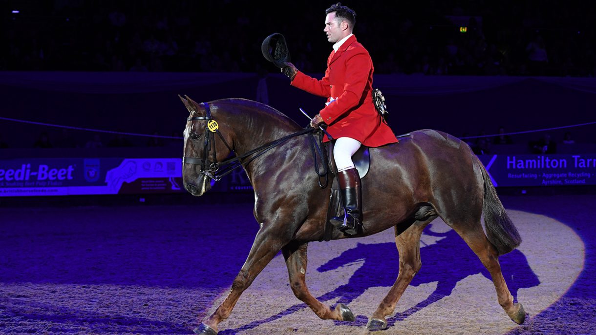 Show ring winners from HOYS 2022 - Horse & Hound