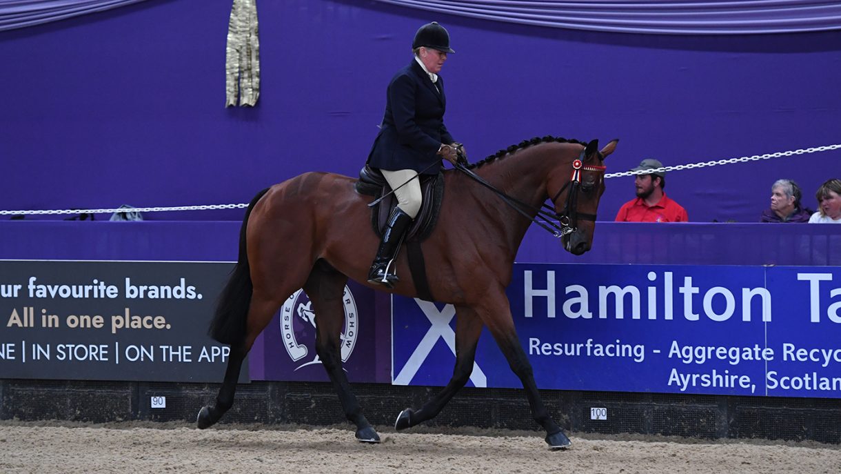 Judge Magnus Nicholson: ‘We’d be lost without HOYS and should ...