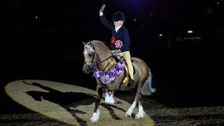HOYS M&M working hunter pony championship results - Horse & Hound