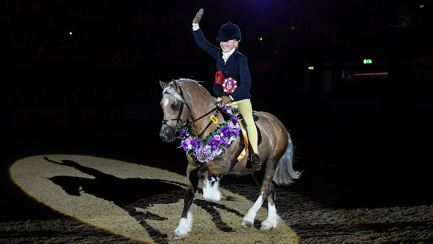 HOYS M&M working hunter pony championship results - Horse & Hound