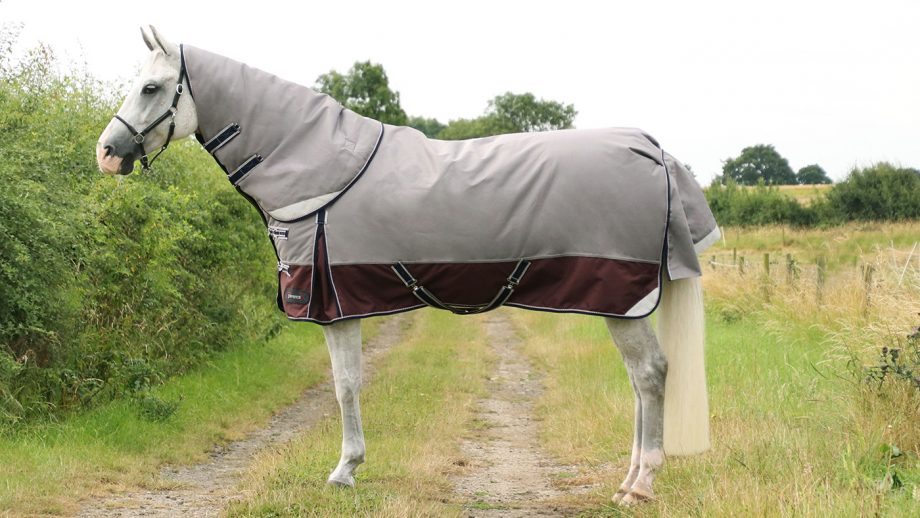 Best heavyweight turnout rugs for all budgets | Horse & Hound