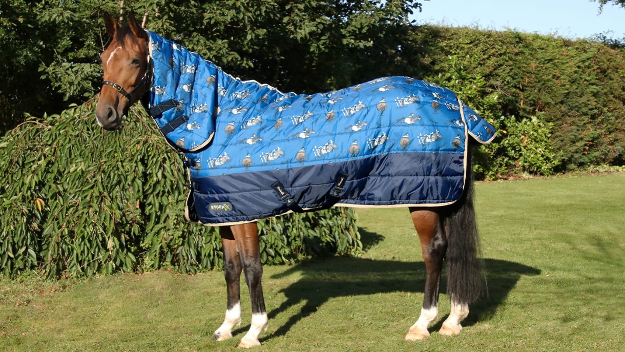 Best stable rugs for keeping your horse warm this winter | Horse & Hound