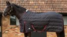 Best stable rugs for keeping your horse warm this winter | Horse & Hound