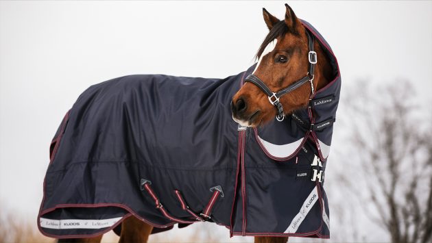 Best heavyweight turnout rugs for all budgets | Horse & Hound