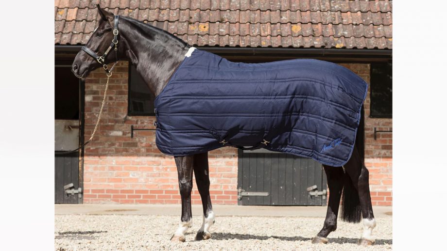 Best stable rugs for keeping your horse warm this winter | Horse & Hound