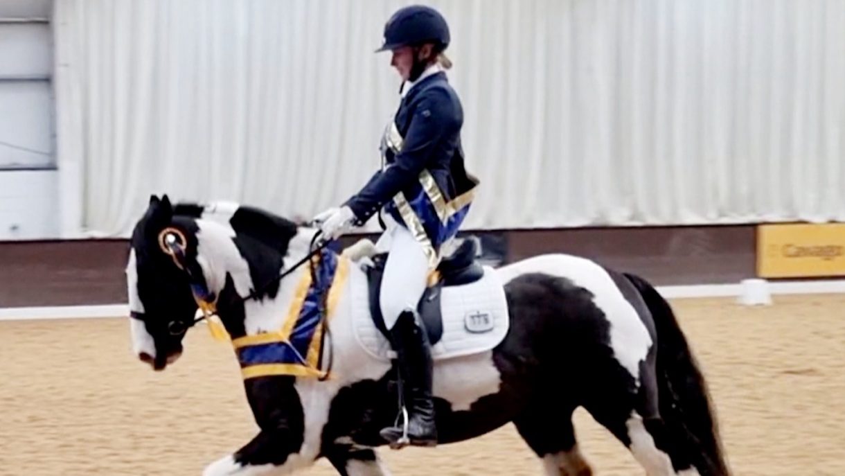 29 pictures to prove that cobs CAN do dressage (and excel at it ...