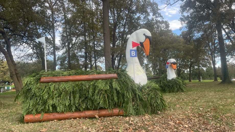 Pau Horse Trials cross-country course: walk the 2022 track