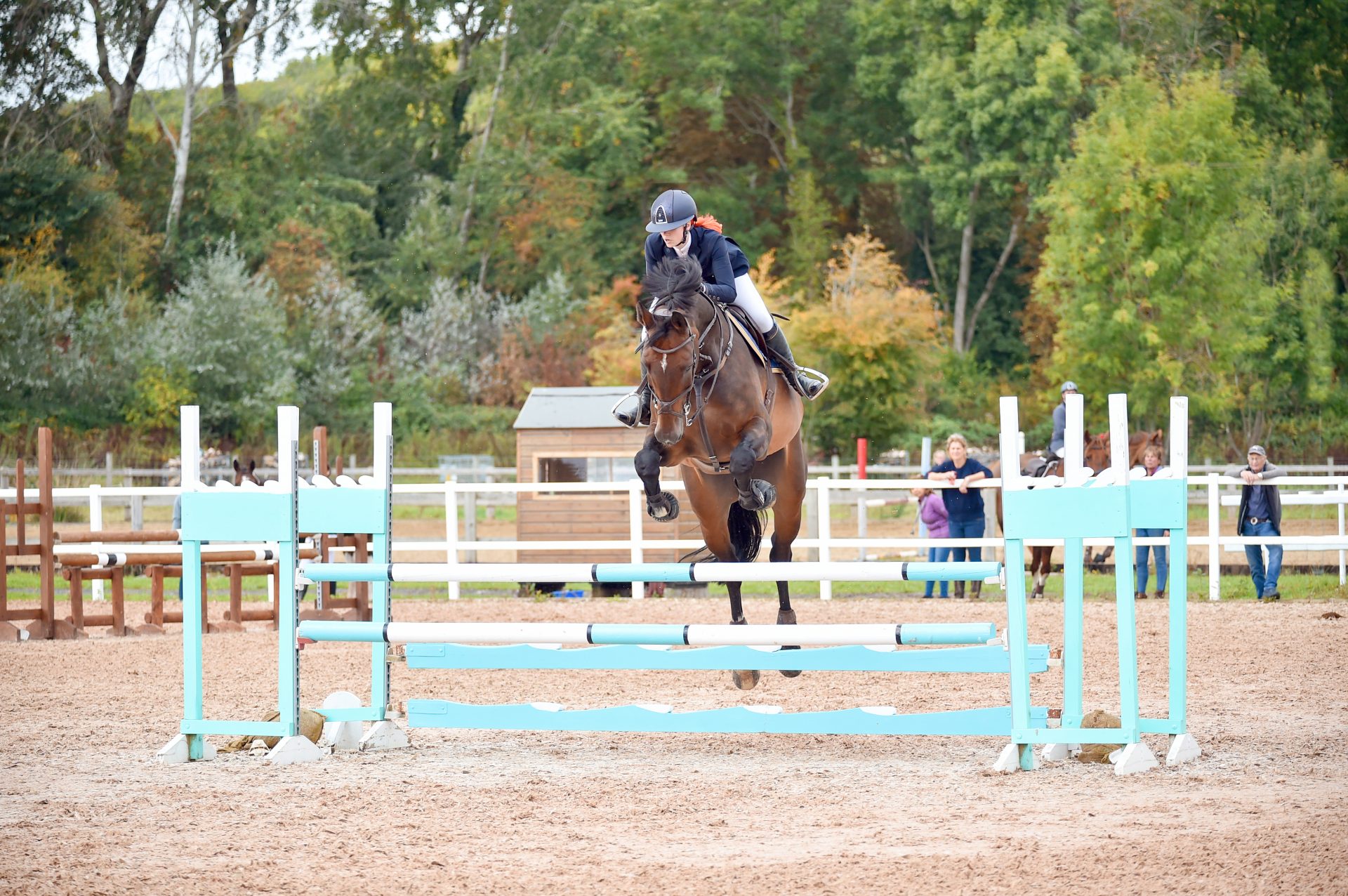 ‘I am tiny but he's a gentle giant’: determined showjumper with spinal ...