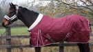 Best stable rugs for keeping your horse warm this winter | Horse & Hound