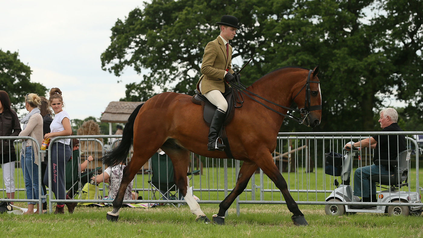 The Horse & Hound Podcast 123: Show horse producer Will Morton ...