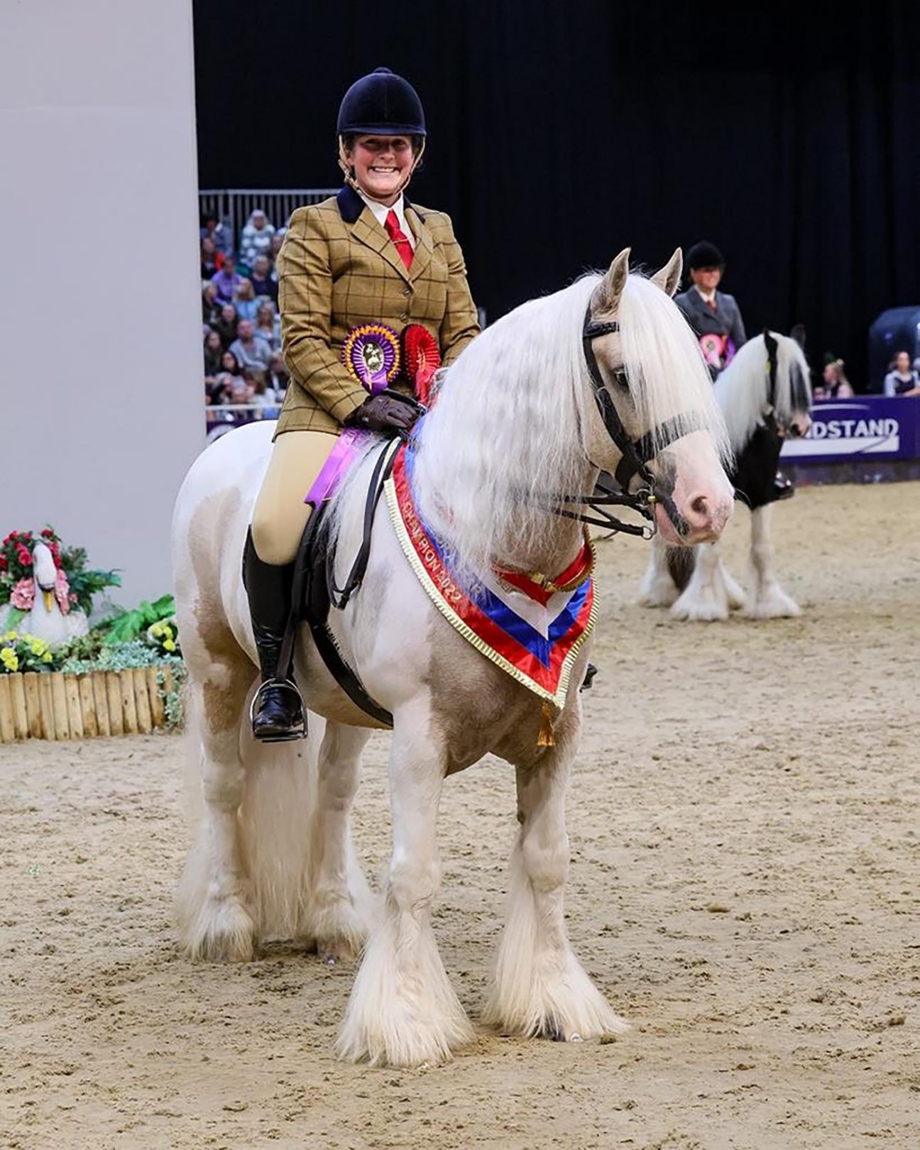 Meet the winners of the 2022 SEIB Search For A Star classes
