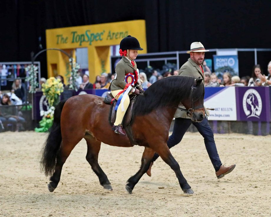Show ring winners from HOYS 2022 - Horse & Hound