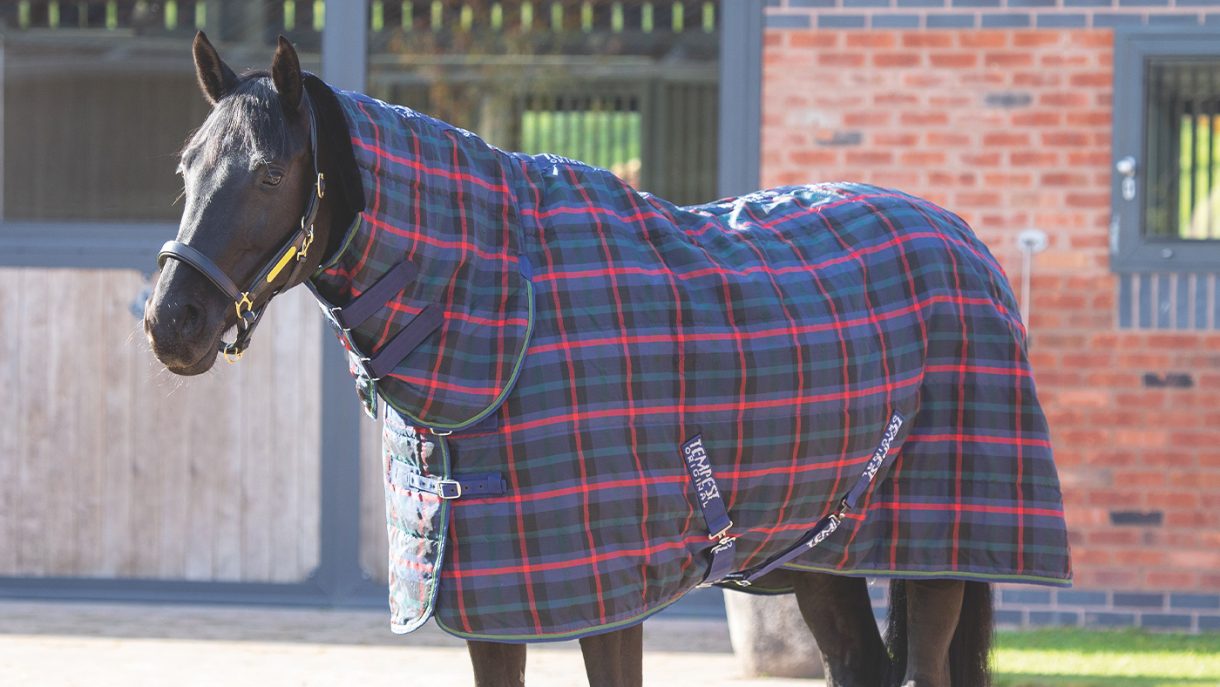 Best stable rugs for keeping your horse warm this winter | Horse & Hound