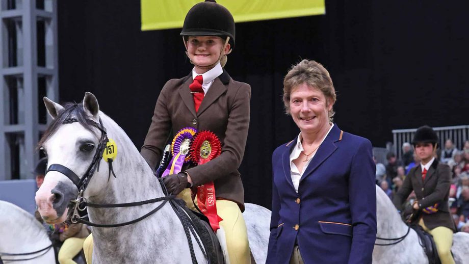 The Welsh Section A or Welsh Mountain Pony: all you need to know