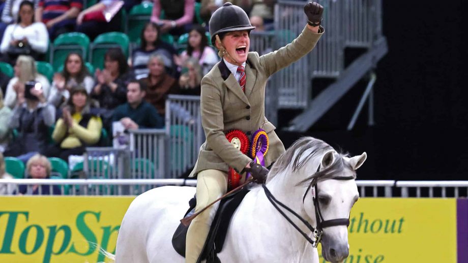 The Welsh Section A or Welsh Mountain Pony: all you need to know