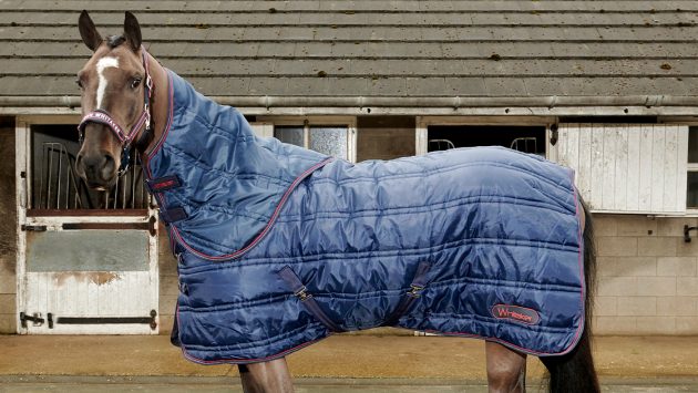Best stable rugs for keeping your horse warm this winter | Horse & Hound