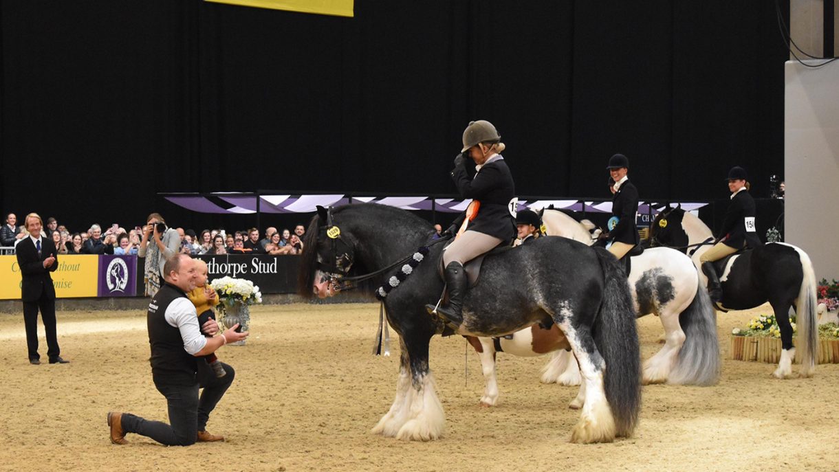 What happens now to The Queen’s pony Emma? And other things the horse ...
