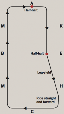 How to ride leg yield for training and dressage shows - Horse & Hound