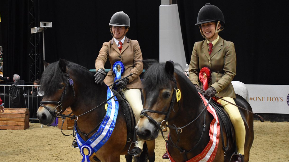 HOYS M&M working hunter pony championship results - Horse & Hound