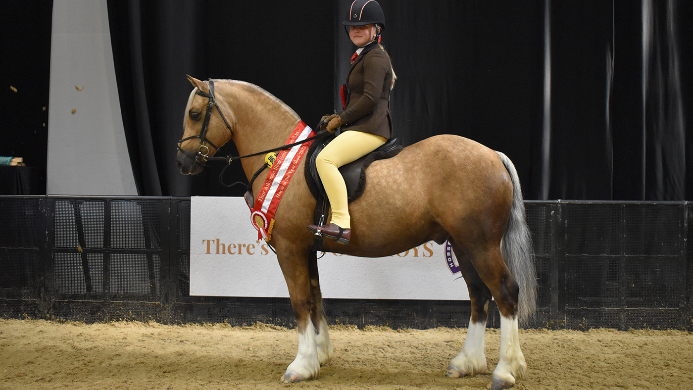 Joyton Sunshine wins HOYS 133cm M&M working hunter final
