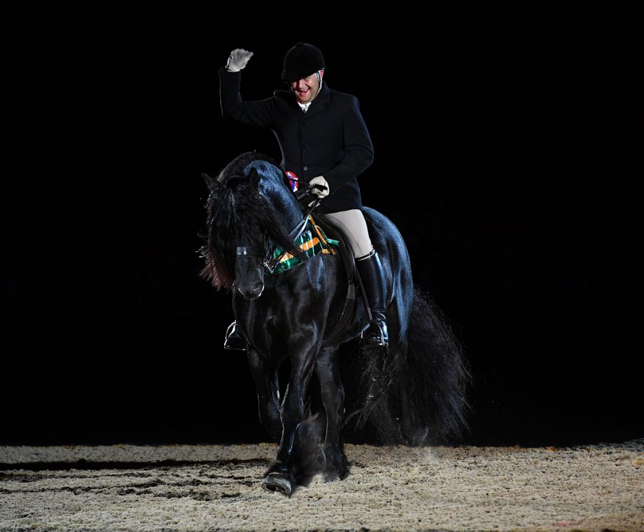 Show ring winners from HOYS 2022 - Horse & Hound