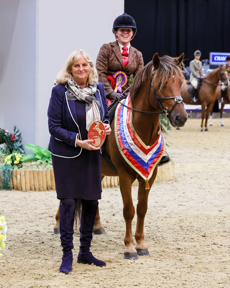 Meet the winners of the 2022 SEIB Search For A Star classes
