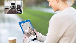 Best dog cameras to check on your pooch from a distance
