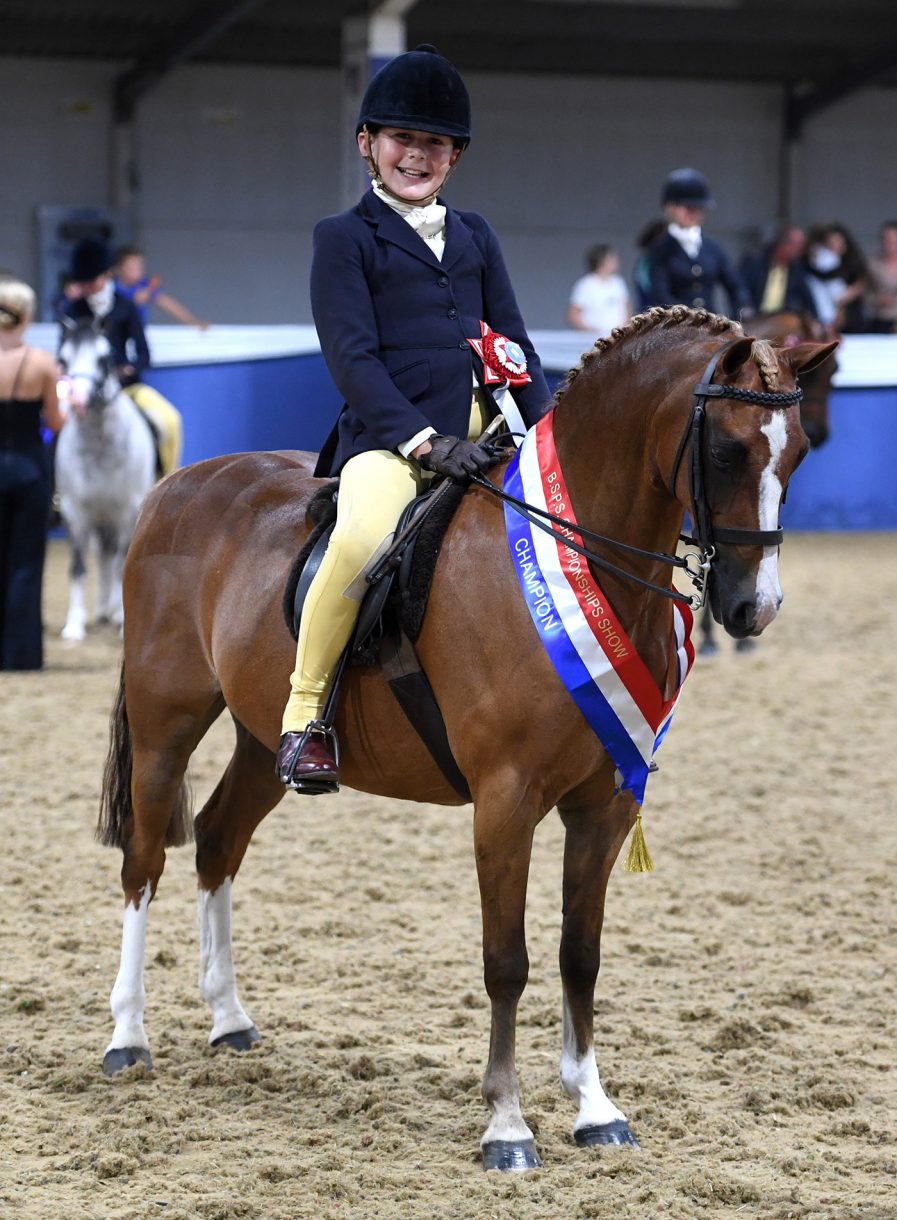 Stuart Hollings: ‘Future-proofing the showing world’s art of ring craft ...