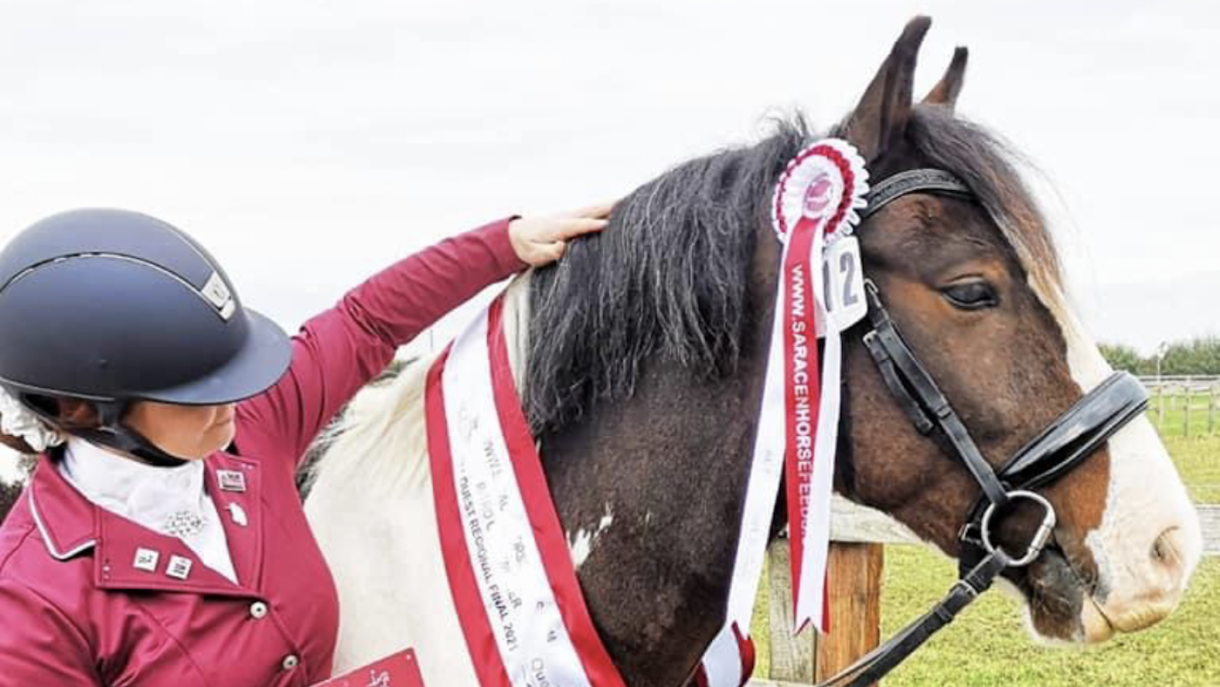 H&H's guide to hogged show cobs - Horse & Hound