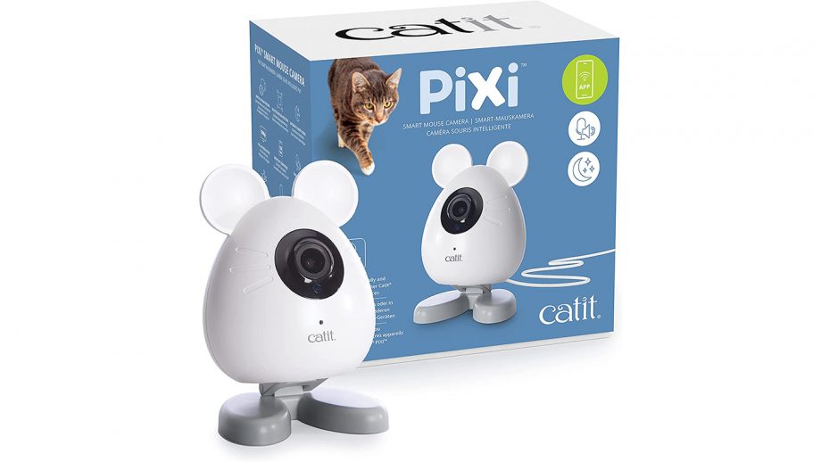 Best pet cameras to check on your pooch from a distance